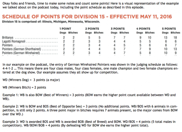 7 – How to Count Dog Show Championship Points - Pure Dog Talk