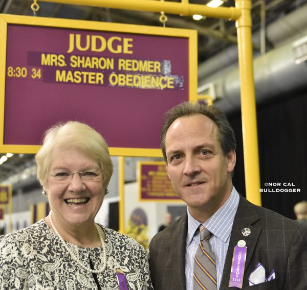 84 – Obedience at the Garden: David Haddock, AKC Judge - Pure Dog Talk