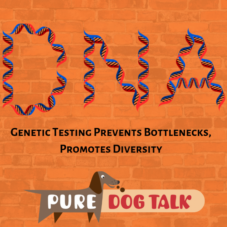DNA Genetic Testing Prevents Bottlenecks, Promotes Diversity | Pure Dog ...