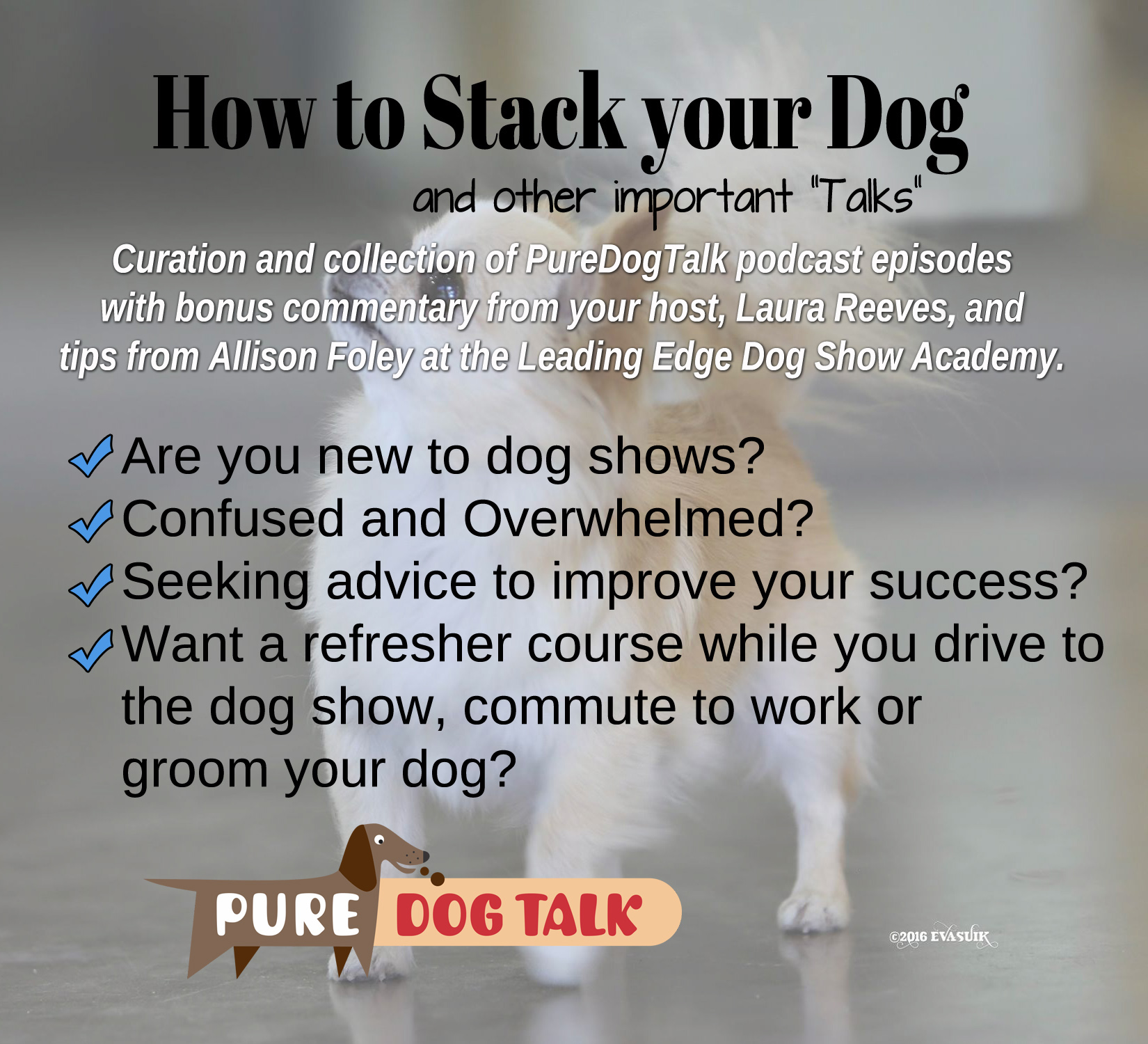 backcover copy1 - Pure Dog Talk