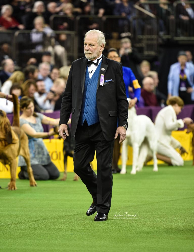 Jeff Pepper on PBGV and the Importance of Performance | Pure Dog Talk