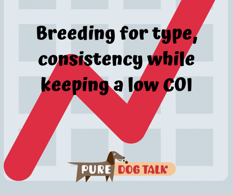 Breeding for type, consistency while keeping a low COI | Pure Dog Talk
