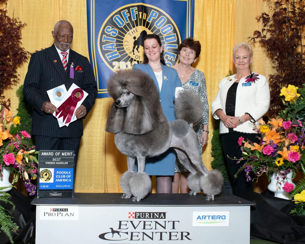 kayla - Pure Dog Talk