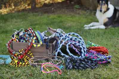 Borealis - Pure Dog Talk