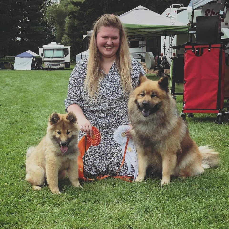 459 – Eurasiers: “Floofy,” quiet, mellow companions - Pure Dog Talk