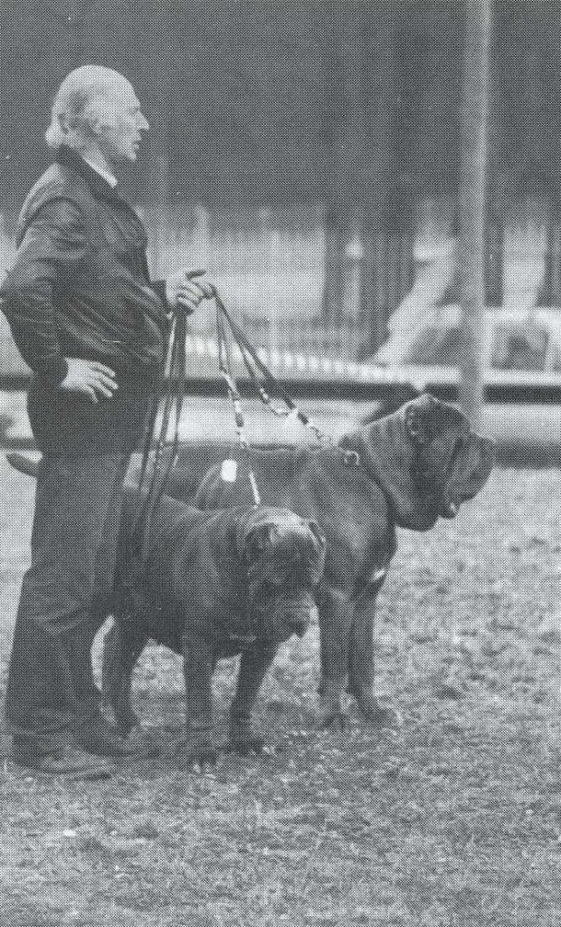 470 - Molosser Breeds Evoke Old World Characteristics - Pure Dog Talk