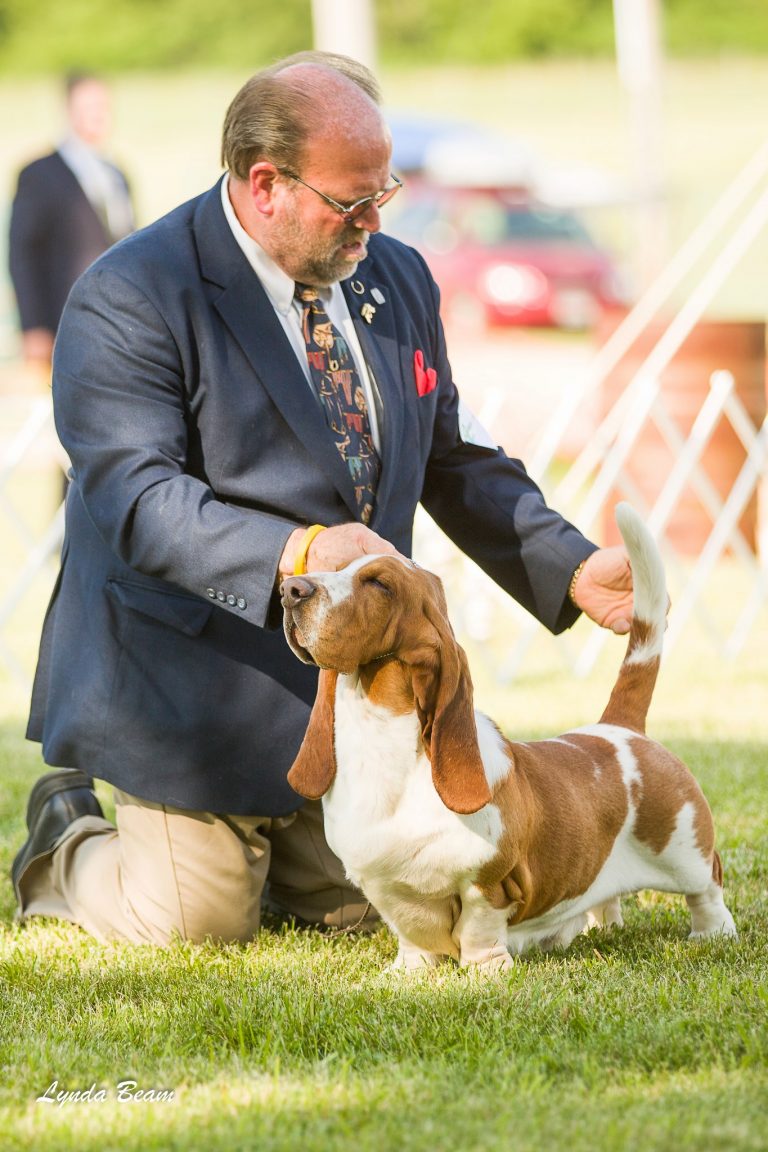 477 — Bryan Martin: “Basset Boy,” the Early Years - Pure Dog Talk